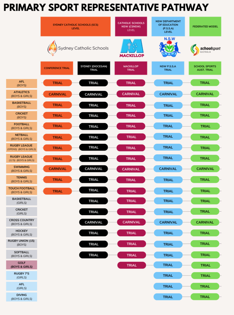 Primary Representative Pathway - SCS Sport